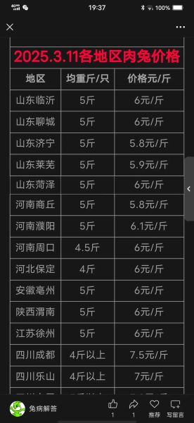 活兔多少钱一斤2021市场价_2021活兔价格行情-第1张图片-山城妙识 活兔多少钱一斤2021市场价_2021活兔价格行情-第1张图片-山城妙识