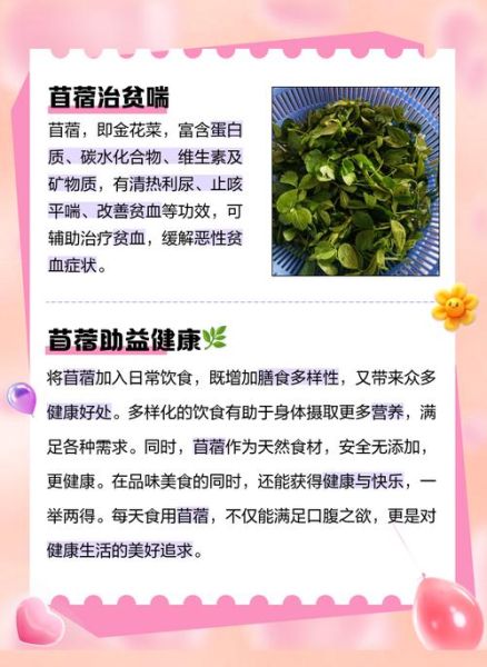 苜蓿芽的营养价值_苜蓿芽怎么吃最健康-第1张图片-山城妙识 苜蓿芽的营养价值_苜蓿芽怎么吃最健康-第1张图片-山城妙识