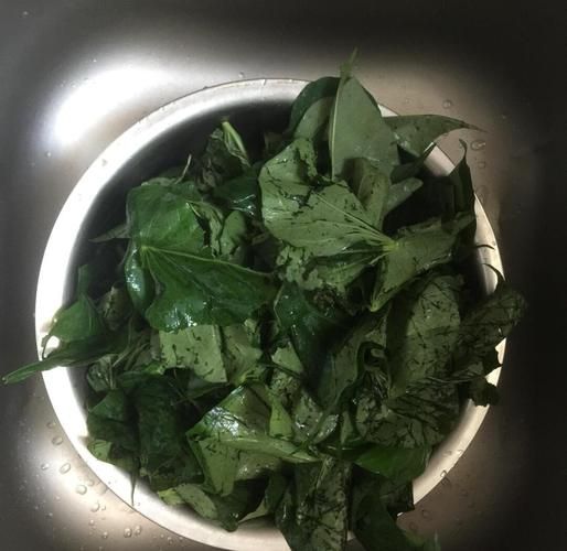 红薯叶怎么做好吃_红薯叶的家常做法-第3张图片-山城妙识