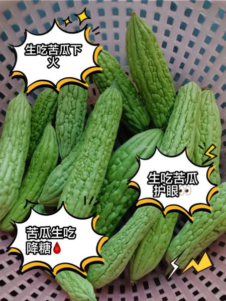 生吃苦瓜有什么危害_生吃苦瓜会中毒吗-第1张图片-山城妙识