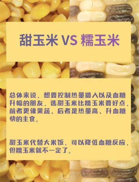 玉米热量高为什么减肥_玉米减肥真相-第1张图片-山城妙识 玉米热量高为什么减肥_玉米减肥真相-第1张图片-山城妙识