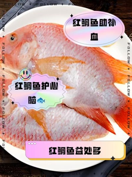 红鲷鱼是什么鱼_红鲷鱼多少钱一斤-第3张图片-山城妙识 红鲷鱼是什么鱼_红鲷鱼多少钱一斤-第3张图片-山城妙识