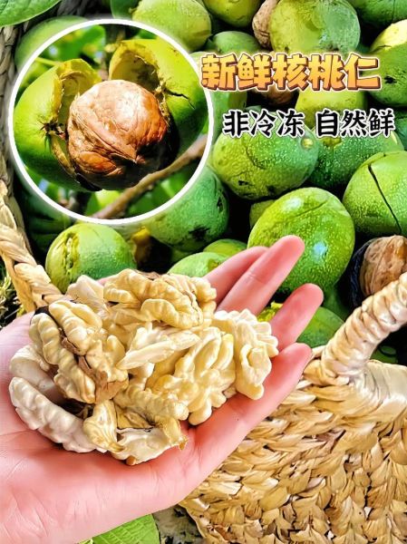 孕妇吃核桃的最佳时间_怀孕几个月开始吃核桃-第2张图片-山城妙识