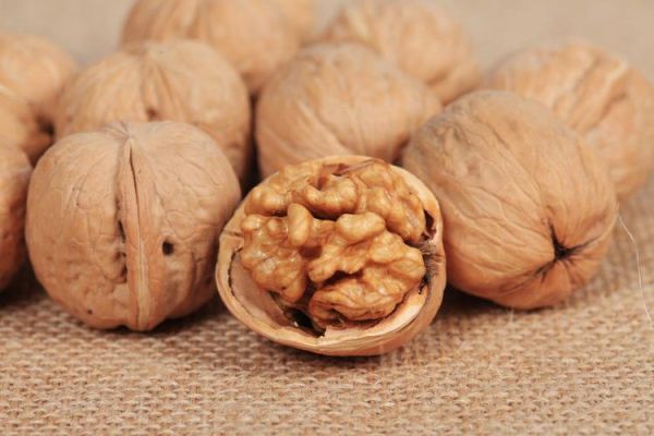 孕妇吃核桃的最佳时间_怀孕几个月开始吃核桃-第3张图片-山城妙识