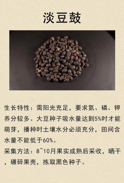 淡豆豉葱白功效与作用_淡豆豉葱白能退烧吗-第3张图片-山城妙识