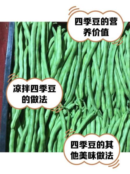 四季豆的功效与作用_四季豆的禁忌有哪些-第2张图片-山城妙识 四季豆的功效与作用_四季豆的禁忌有哪些-第2张图片-山城妙识