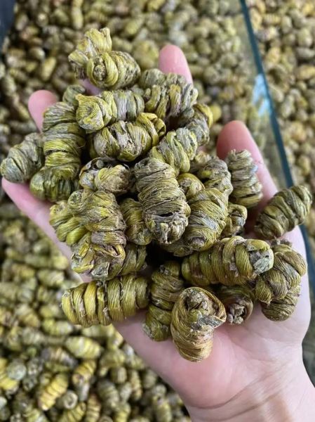 枫斗的功效与作用_枫斗怎么吃效果最好-第3张图片-山城妙识 枫斗的功效与作用_枫斗怎么吃效果最好-第3张图片-山城妙识