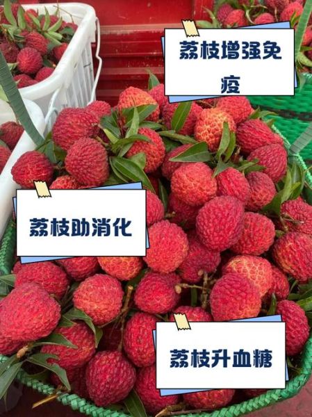 多吃荔枝的好处和坏处_一天吃多少才健康-第3张图片-山城妙识