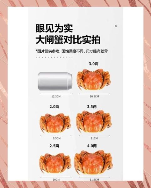 怎么看是不是阳澄湖大闸蟹_真假辨别技巧-第1张图片-山城妙识