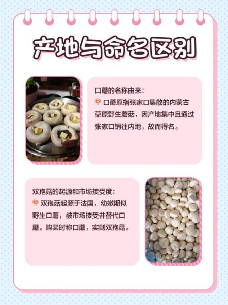 双孢蘑菇种植技术_如何提高产量与品质-第2张图片-山城妙识