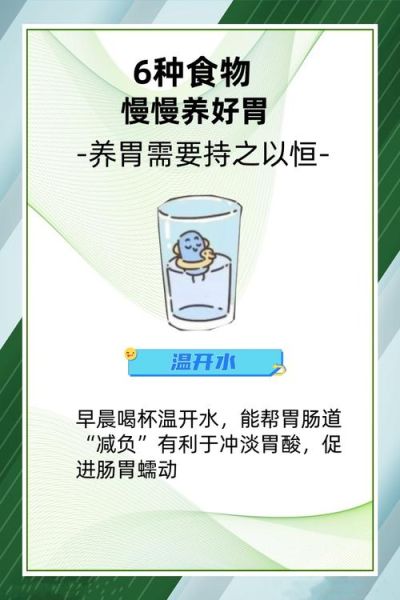 吃什么食物可以养胃_养胃吃什么最好-第3张图片-山城妙识