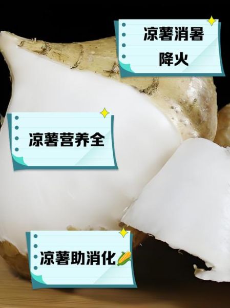 凉薯的功效与作用禁忌_凉薯什么人不能吃-第1张图片-山城妙识