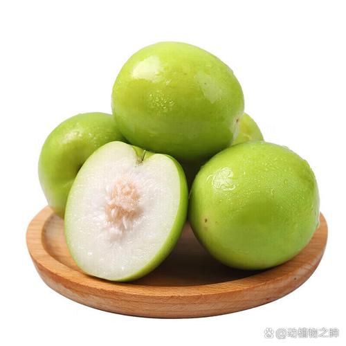 青枣的禁忌和副作用有哪些_什么人不能吃青枣-第3张图片-山城妙识