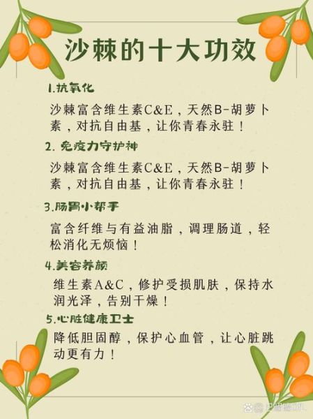 沙棘的功效与作用_沙棘怎么吃效果最好-第2张图片-山城妙识 沙棘的功效与作用_沙棘怎么吃效果最好-第2张图片-山城妙识