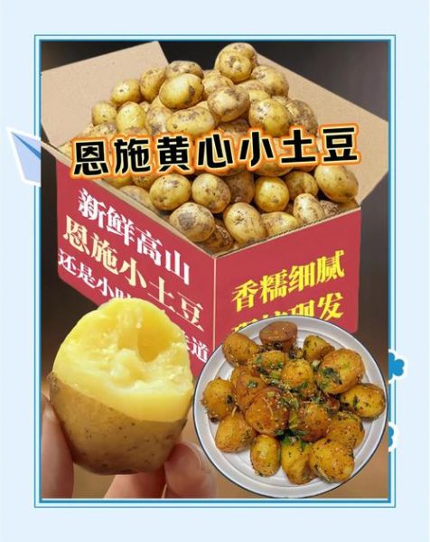 土豆的营养价值高吗_土豆怎么吃最健康-第2张图片-山城妙识