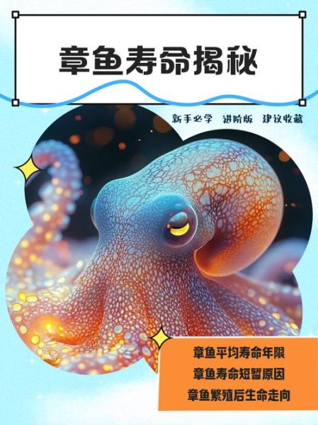 章鱼寿命有多长_章鱼能活多久-第1张图片-山城妙识