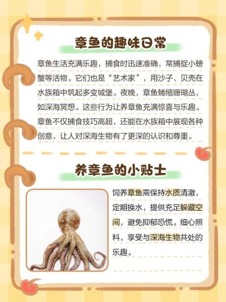 章鱼寿命有多长_章鱼能活多久-第3张图片-山城妙识