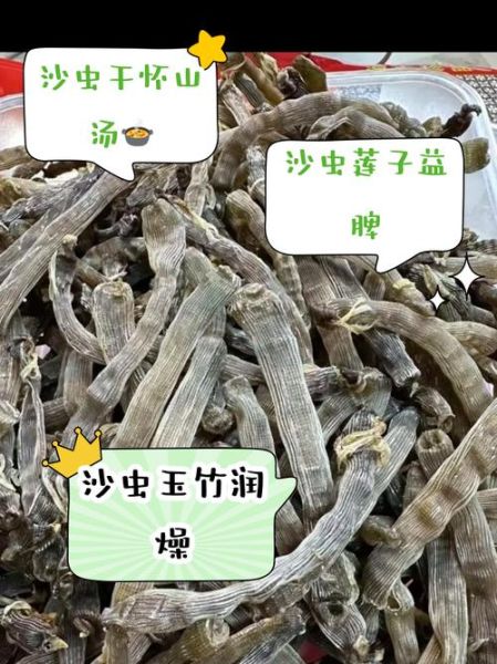 沙虫长什么样子_沙虫怎么做好吃-第2张图片-山城妙识