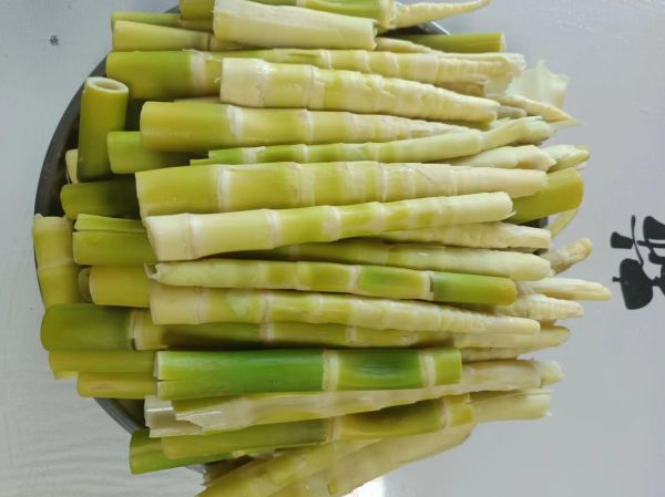 新鲜笋尖怎么做好吃_新鲜笋尖的做法大全-第1张图片-山城妙识