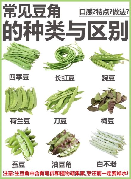 100种豆类图片大全_常见豆类有哪些-第1张图片-山城妙识