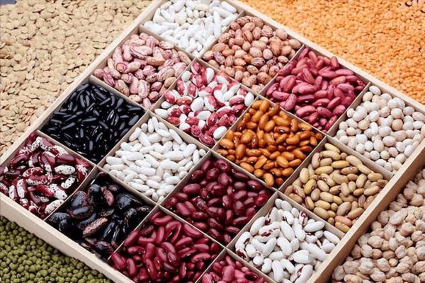 100种豆类图片大全_常见豆类有哪些-第3张图片-山城妙识
