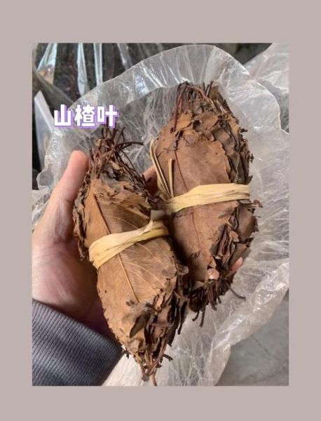 山楂叶煮水能降血压吗_山楂叶煮水功效与作用-第3张图片-山城妙识 山楂叶煮水能降血压吗_山楂叶煮水功效与作用-第3张图片-山城妙识