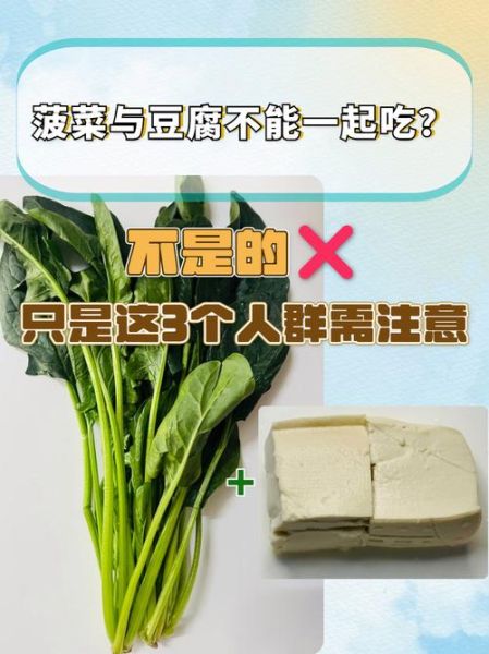 菠菜和豆腐能一起吃吗_相克食物真相-第2张图片-山城妙识