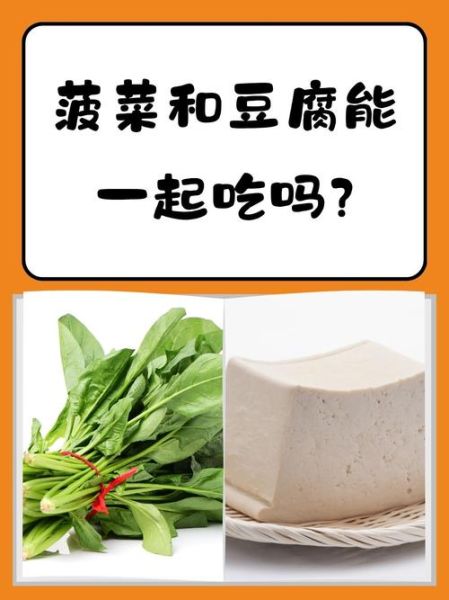 菠菜和豆腐能一起吃吗_相克食物真相-第1张图片-山城妙识