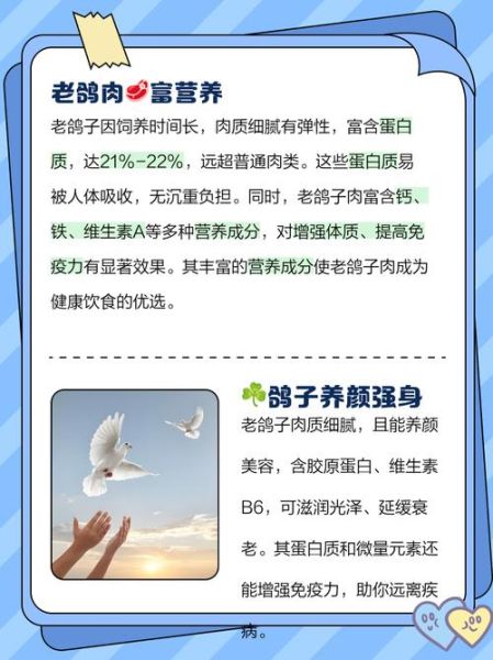 乳鸽和老鸽的功效区别_哪个更滋补-第1张图片-山城妙识