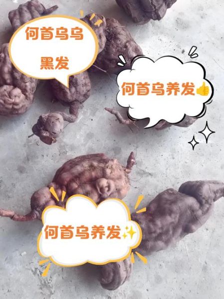 何首乌功效与作用有哪些_何首乌主治什么病-第3张图片-山城妙识 何首乌功效与作用有哪些_何首乌主治什么病-第3张图片-山城妙识