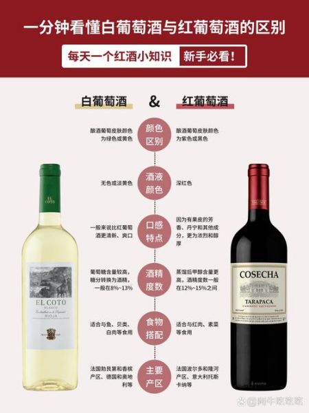 红葡萄酒和白葡萄酒的区别_哪个更适合新手-第1张图片-山城妙识