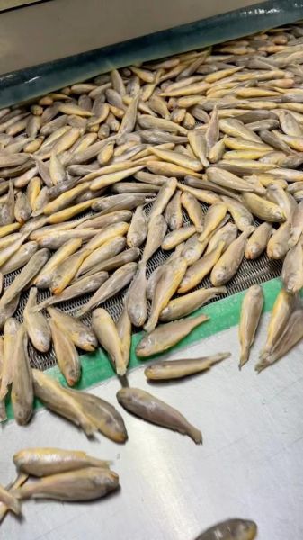 冷冻小黄鱼怎么做好吃_冷冻小黄鱼怎么解冻-第3张图片-山城妙识