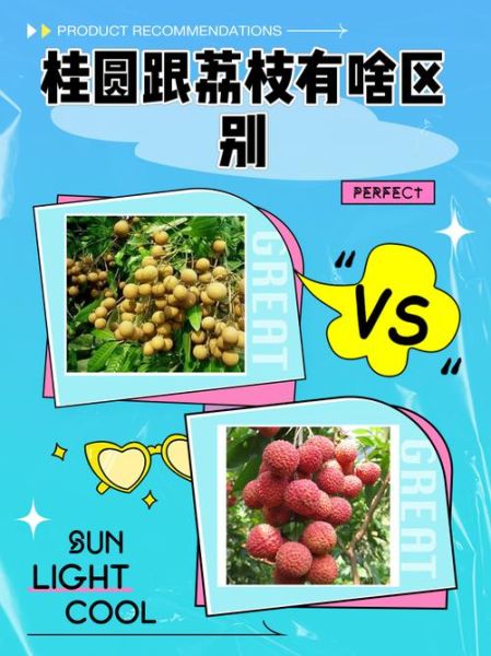 荔枝和龙眼哪个营养价值高_对比分析-第2张图片-山城妙识 荔枝和龙眼哪个营养价值高_对比分析-第2张图片-山城妙识