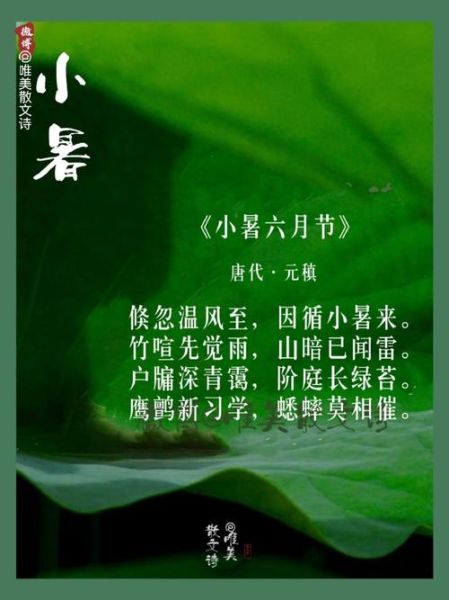 小暑古诗有哪些_小暑诗词如何赏析-第1张图片-山城妙识 小暑古诗有哪些_小暑诗词如何赏析-第1张图片-山城妙识