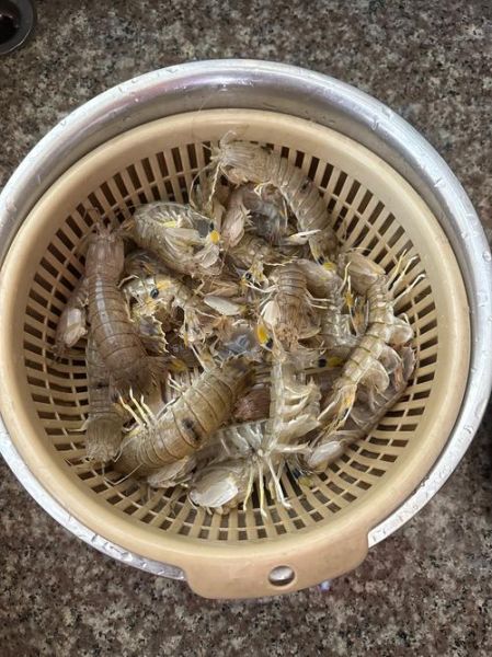 虾菇怎么做好吃_虾菇的营养价值有哪些-第1张图片-山城妙识 虾菇怎么做好吃_虾菇的营养价值有哪些-第1张图片-山城妙识