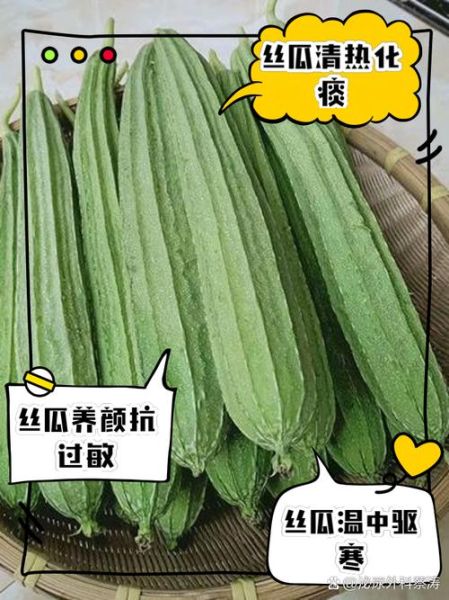 丝瓜的药用功效有哪些_丝瓜能治疗哪些疾病-第1张图片-山城妙识