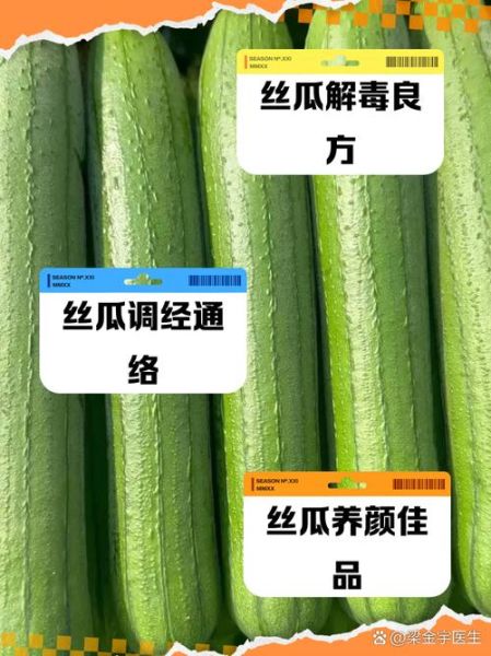 丝瓜的药用功效有哪些_丝瓜能治疗哪些疾病-第3张图片-山城妙识