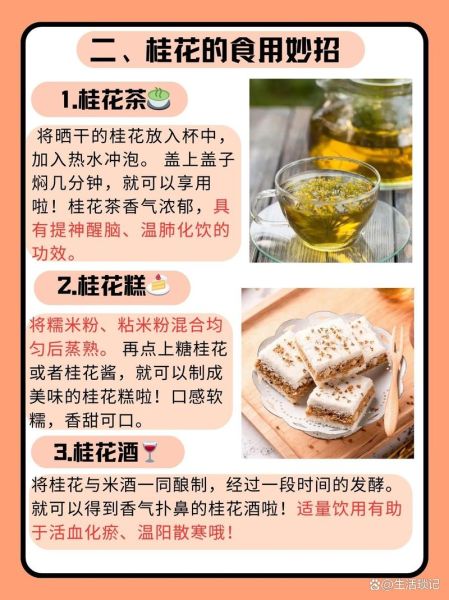 桂花怎么吃_桂花有哪些吃法-第2张图片-山城妙识