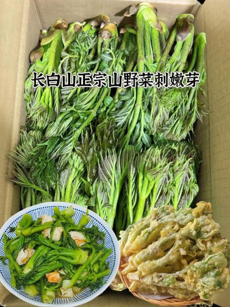 山野菜刺嫩芽怎么做好吃_刺嫩芽的做法大全-第3张图片-山城妙识
