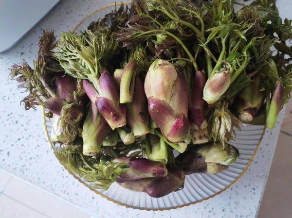 山野菜刺嫩芽怎么做好吃_刺嫩芽的做法大全-第2张图片-山城妙识