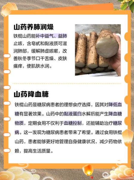 铁棍山药哪些人不能吃_铁棍山药禁忌人群-第1张图片-山城妙识