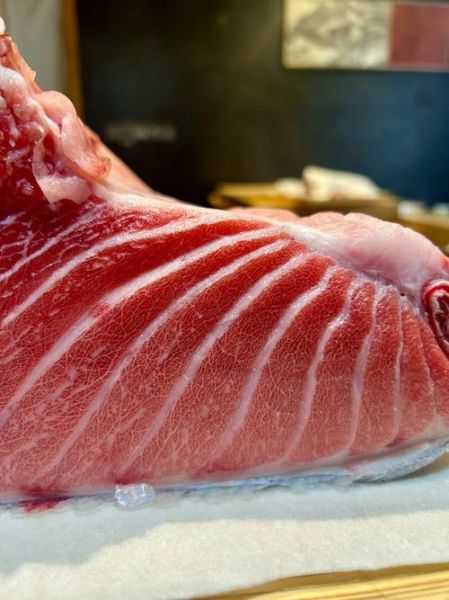 十大名贵海鱼价格排行_为什么蓝鳍金枪鱼最贵-第2张图片-山城妙识