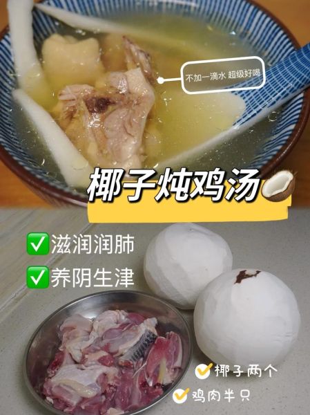 椰汁鸡汤怎么煮_椰汁鸡汤用什么椰汁-第1张图片-山城妙识