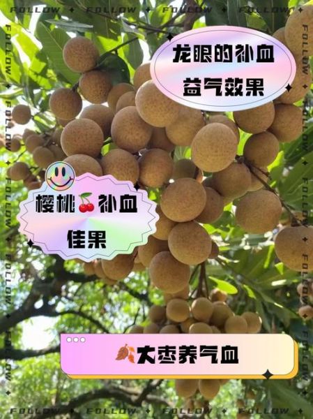 补血的水果第一名是什么_补血效果最好的水果有哪些-第2张图片-山城妙识