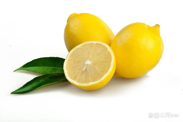 柠檬的英文怎么写_lemon的正确用法-第2张图片-山城妙识