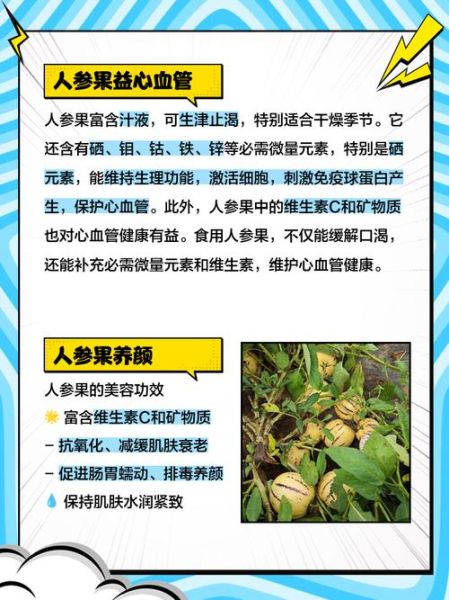 人参果的功效与作用_人参果怎么吃最营养-第1张图片-山城妙识 人参果的功效与作用_人参果怎么吃最营养-第1张图片-山城妙识