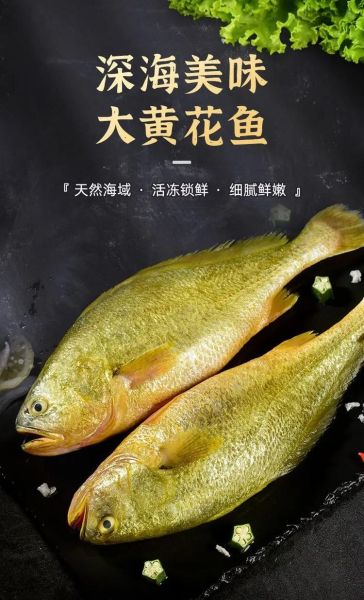 野生大黄鱼三斤以上多少钱一斤_野生大黄鱼价格行情-第3张图片-山城妙识