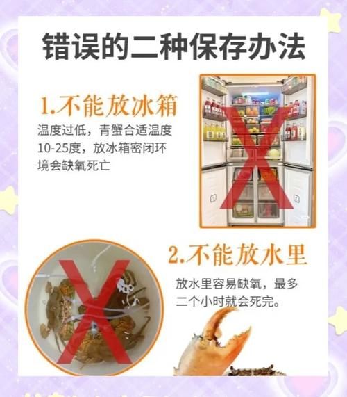 青蟹怎么保存_活青蟹能放冰箱吗-第1张图片-山城妙识 青蟹怎么保存_活青蟹能放冰箱吗-第1张图片-山城妙识