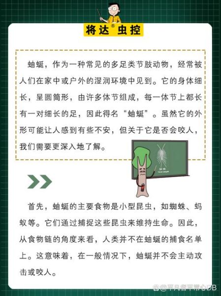 蚰蜒有毒吗_被蚰蜒咬了怎么办-第3张图片-山城妙识