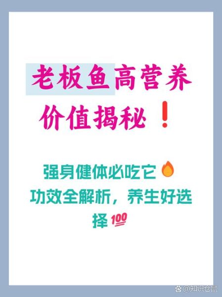 老板鱼的营养价值_老板鱼的功效与作用-第2张图片-山城妙识